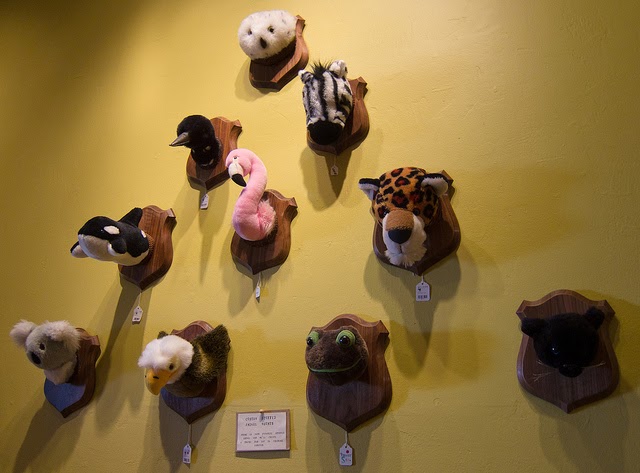 Ultra-Gross: Mounted Stuffed Animal Heads?