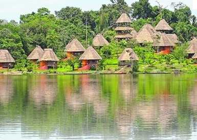 Parque Nacional Yasuni – Lugares turísticos de Ecuador Amazonia Norte