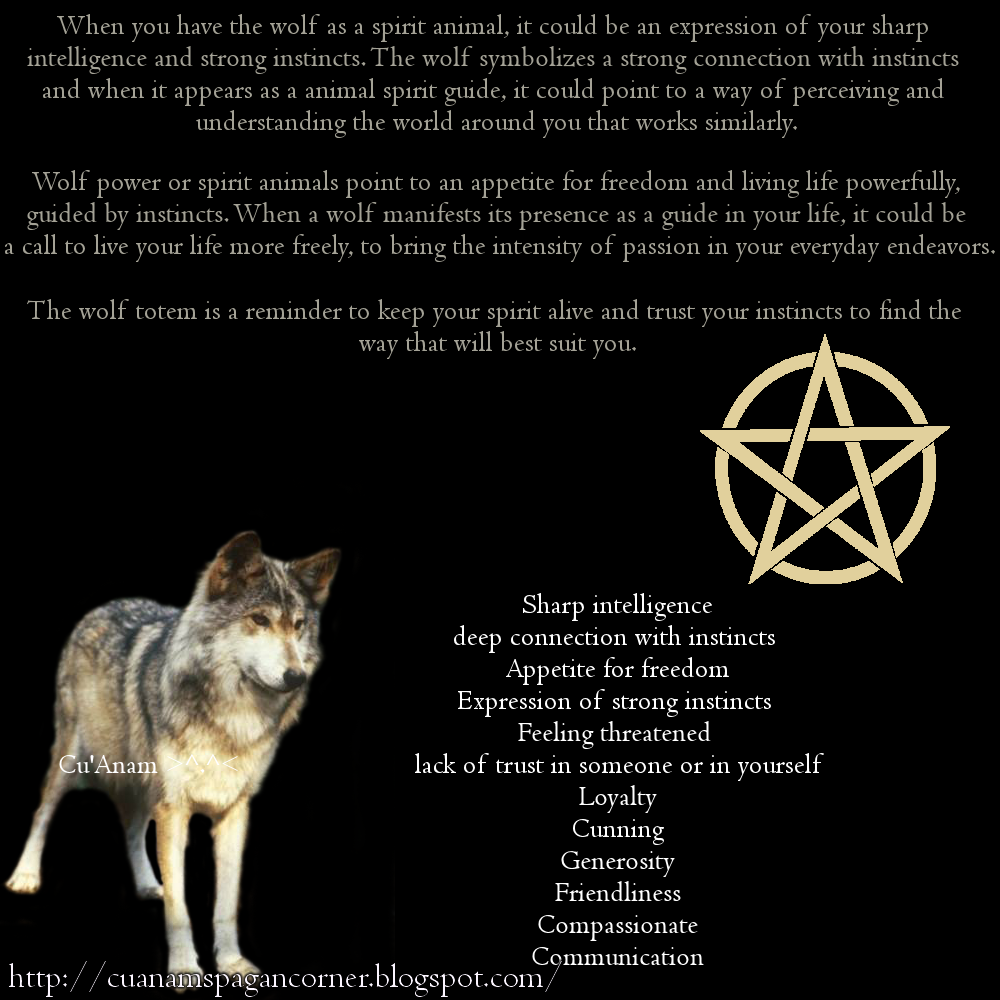 The Pagan Corner with Sin and Cu: Wolf
