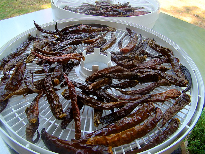 Cooking Gluten Free with Bea: Smoked Chili Pepper Powder