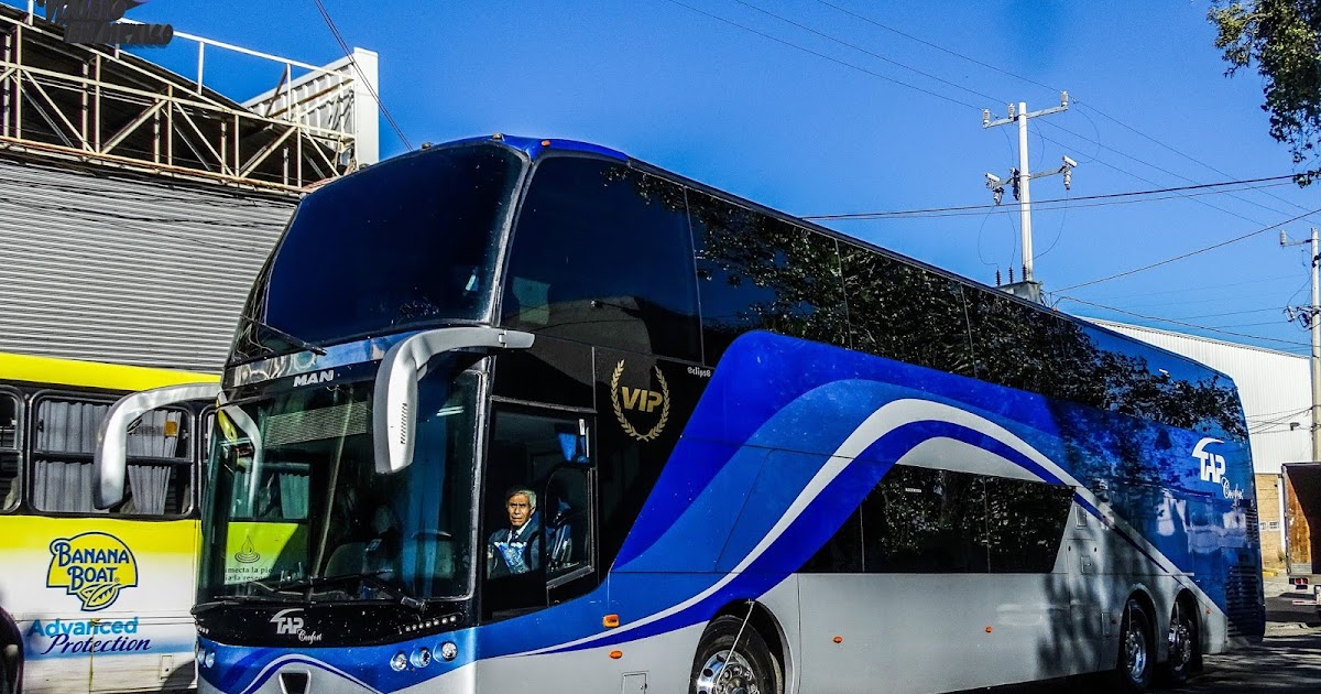 Ayats Eclipse en la flota de TAP Confort