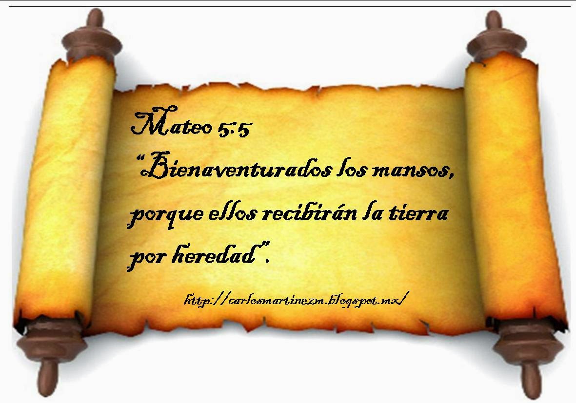 Aprendiendo la Sana Doctrina: Mateo 5:5