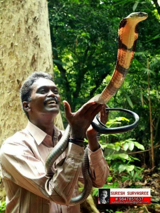 Vava Suresh Has A Very Unique Job | My Dream Blog