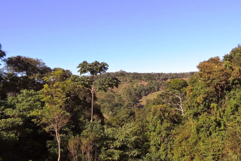 Por amor às cidades: Matas do Deserto, Paraíso - Viçosa