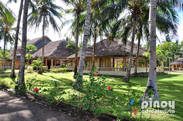 BEACH RESORTS IN DONSOL, SORSOGON: Amor Farm Beach Resort | Blogs ...