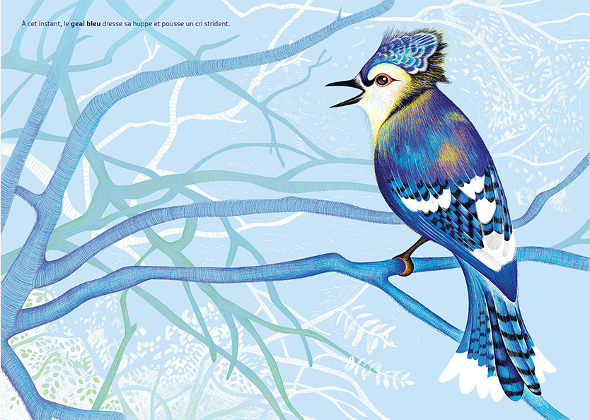 Médiathèque Le Grand Logis: Exposition d'illustrations d'Isabelle Simler