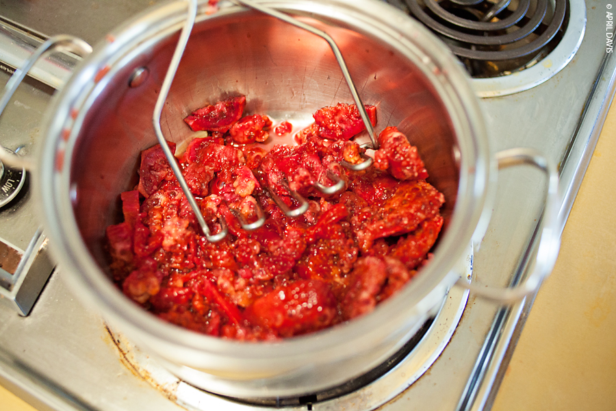 HOW TO MAKE PRICKLY PEAR FREEZER JELLY – A Day in April