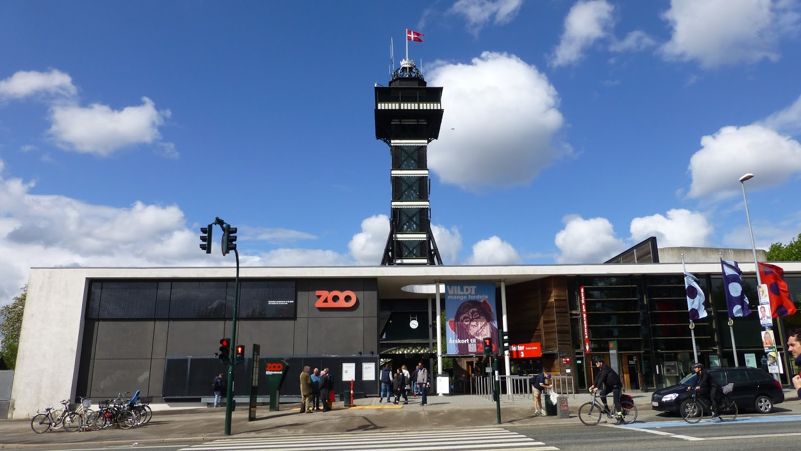 Copenhagen | Copenhagen Zoo / Gee Whiskers!