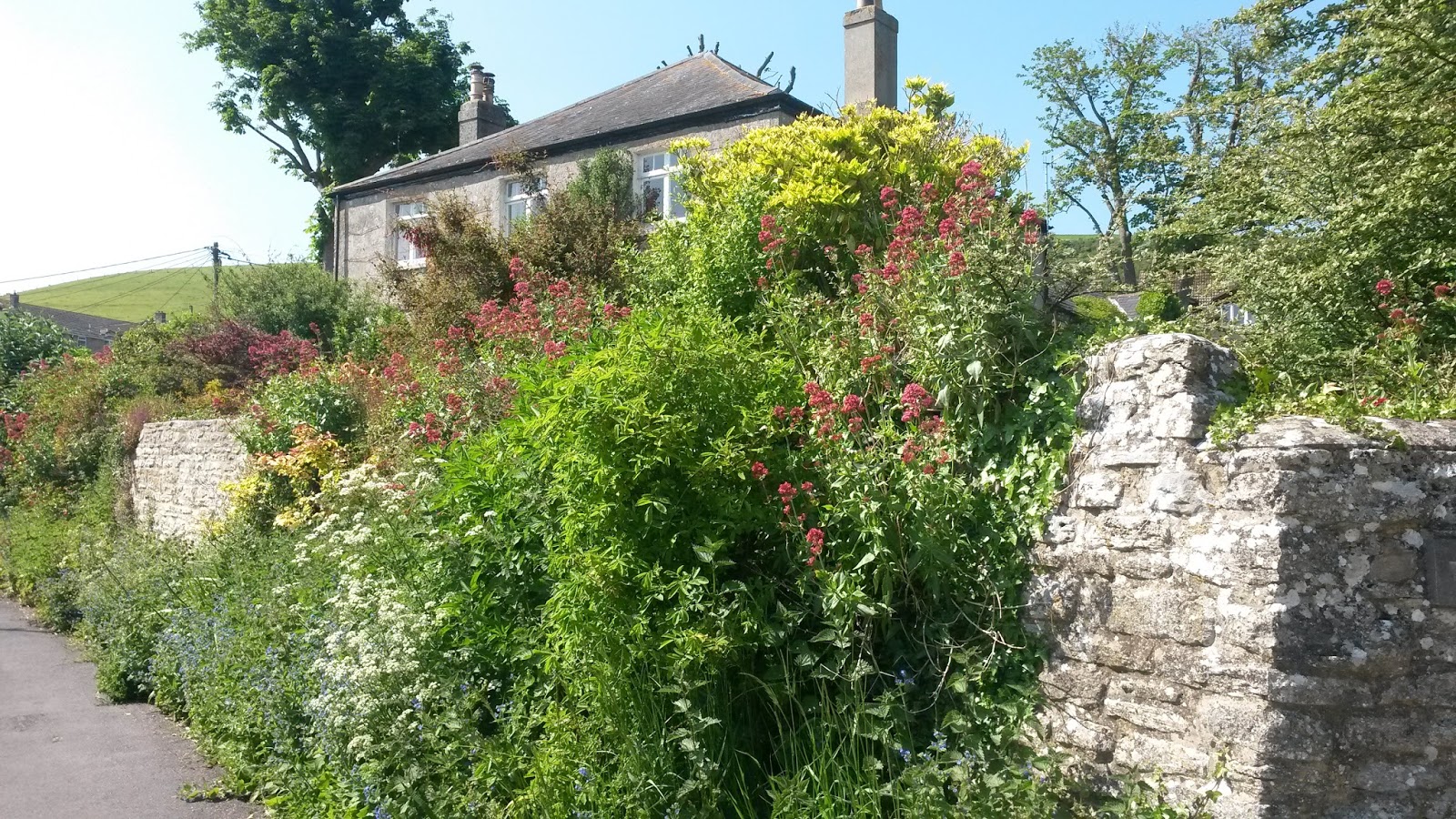 Time On Your Feet: 2016