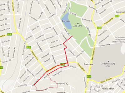 The Great Wildebeest Migration: The Westcliff Stairs