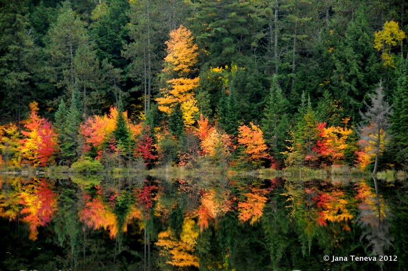 Jana around the world: Peak of Canadian autumn colours in Ontario