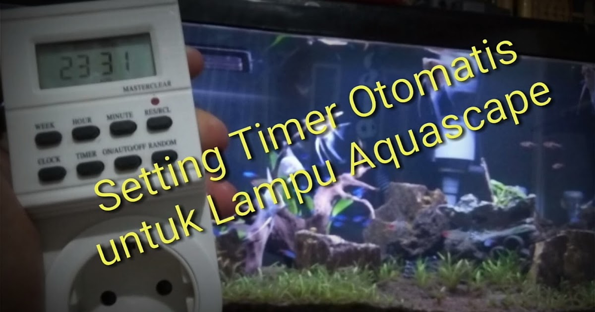 Cara Setting Colokan Timer Digital Otomatis