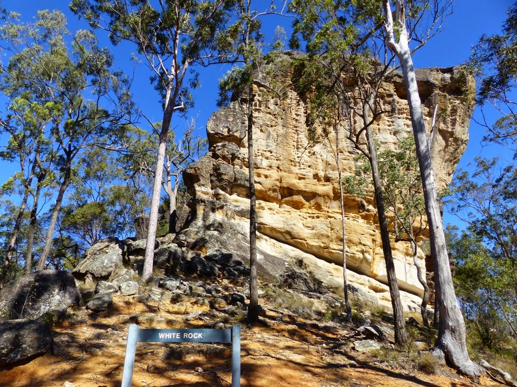 National Park Odyssey: White Rock Conservation Park, QLD.