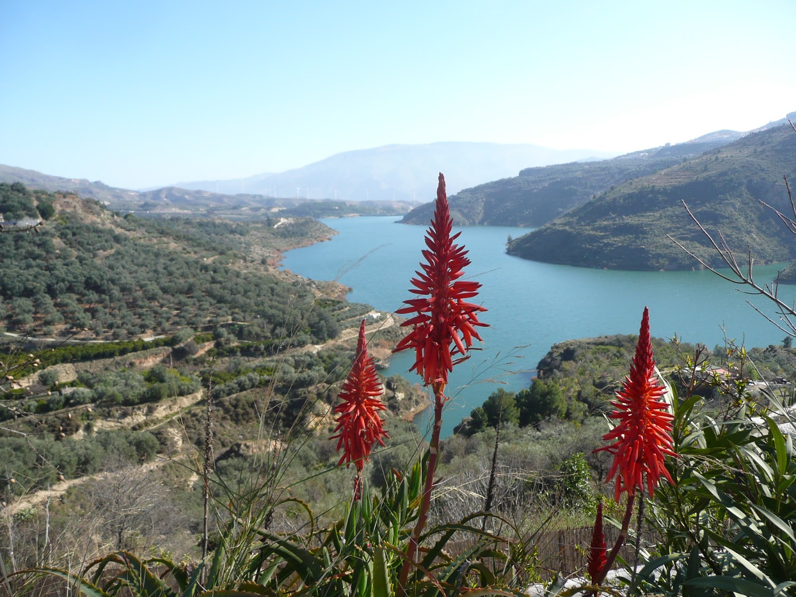 LOS PICHURRIS EN EL RINCÓN DE LA VICTORIA. UN DÍA DE AMISTAD COMPARTIDA ...