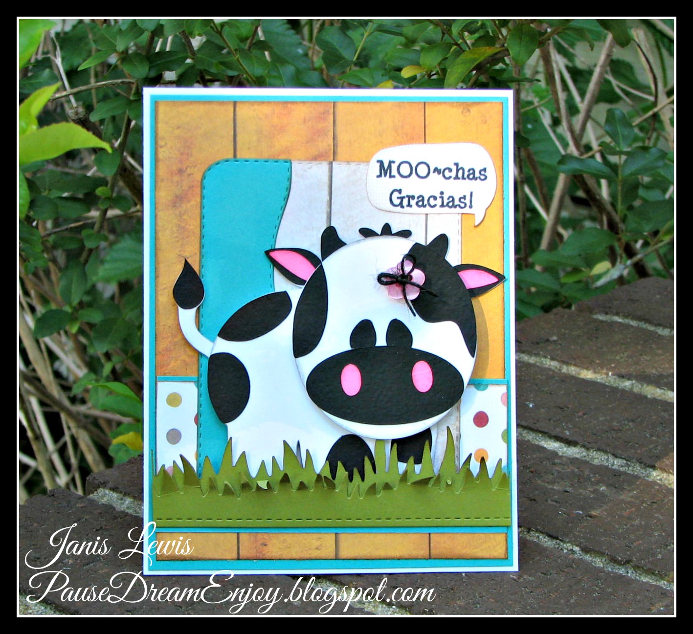 Pause Dream Enjoy: MOO~chas Gracias!