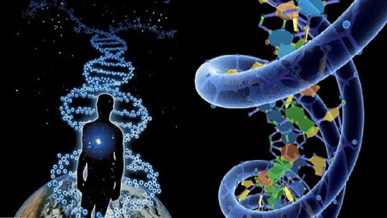 La biología de la vida.