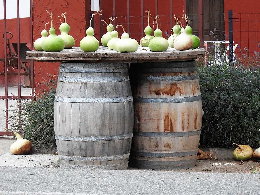 La Rioja de la A a la Z: TONELES DE VINO - La Rioja