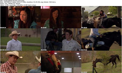 film-31: Flicka 2 (2010) BDRip