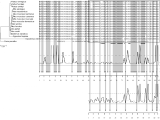 Treevolution: Biology through the evolutionary lens