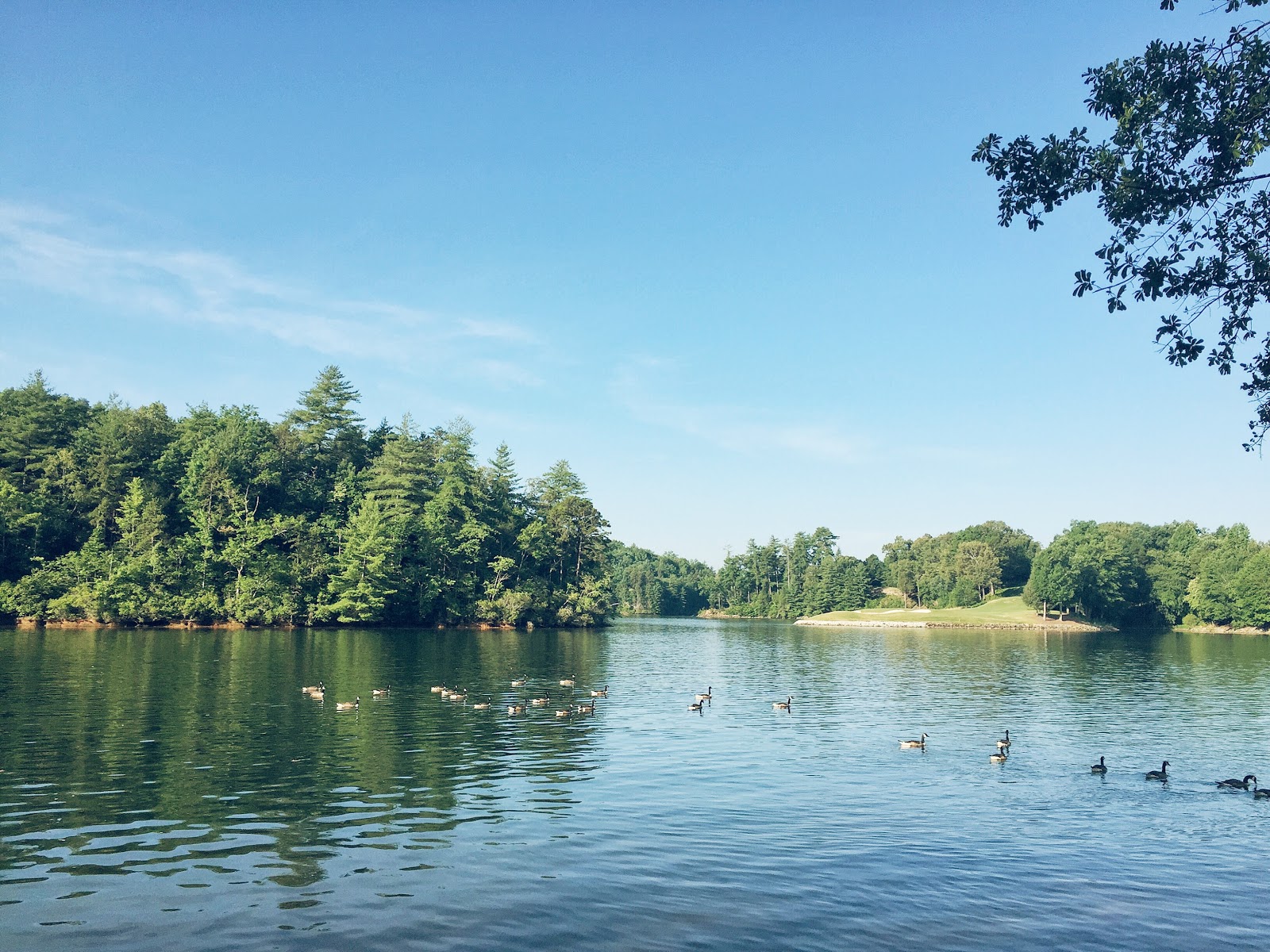 Camping at Keowee-Toxaway State Park (SC) - cathyahh