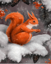 Animowane Gify Zima Mireczki: Animowane gify i obrazki zwierzęta zimą