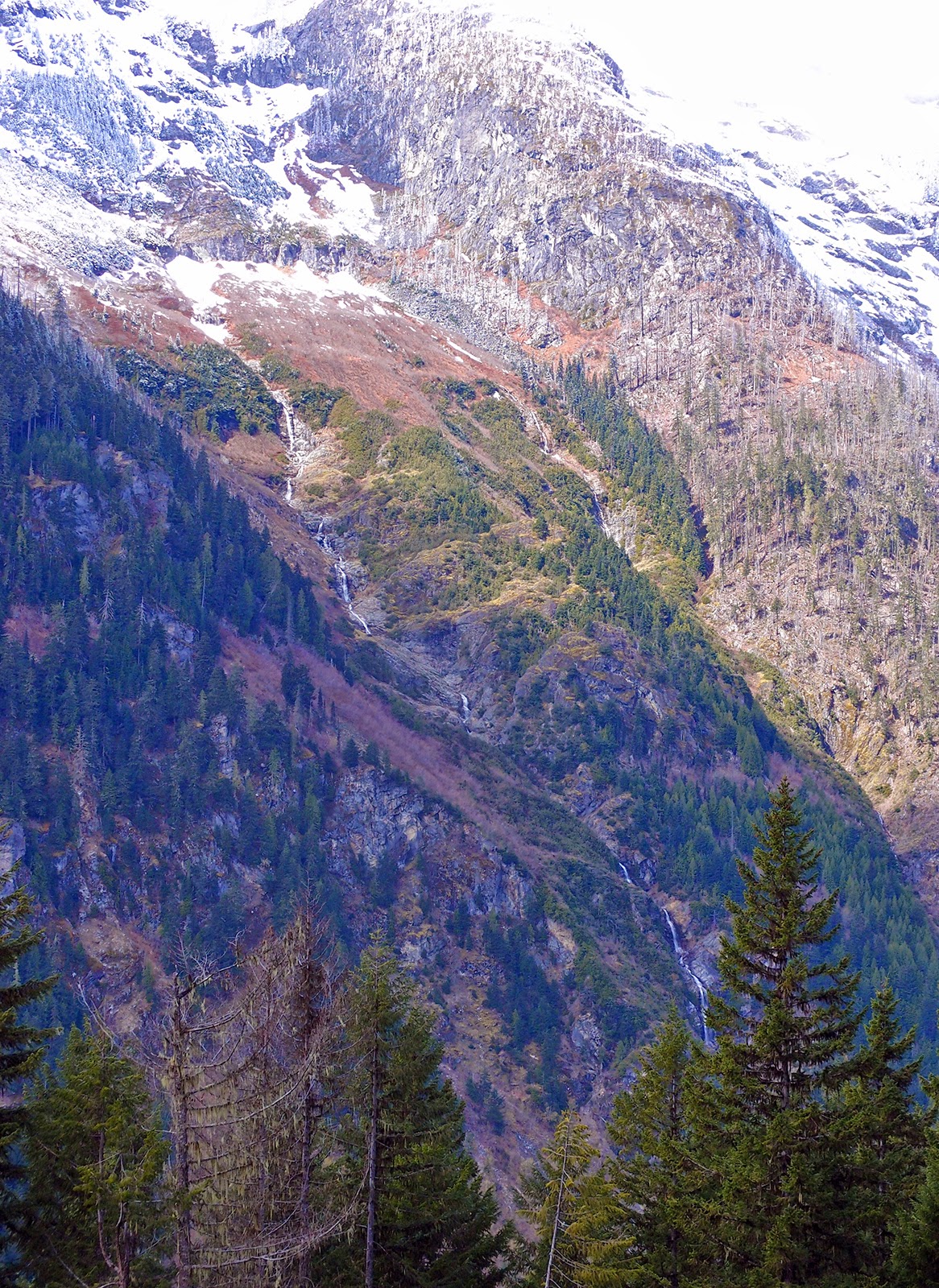 Seeking Ultra: Thunder Basin, North Cascades National Park