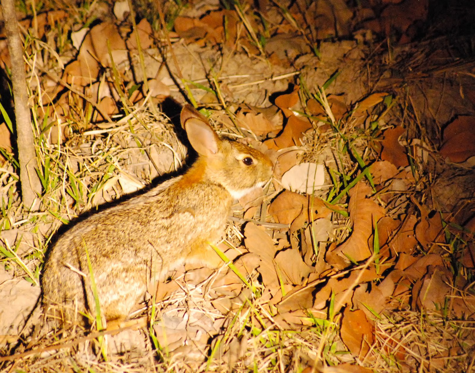 Donald and Esther's Travels