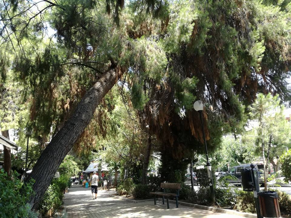 επι-δεξιος (ψάλτης): Εμείς τα λέγαμε...