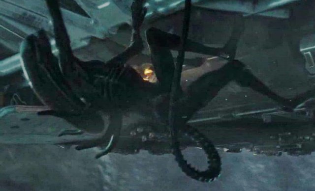 12 domande su Alien: Covenant e il suo finale