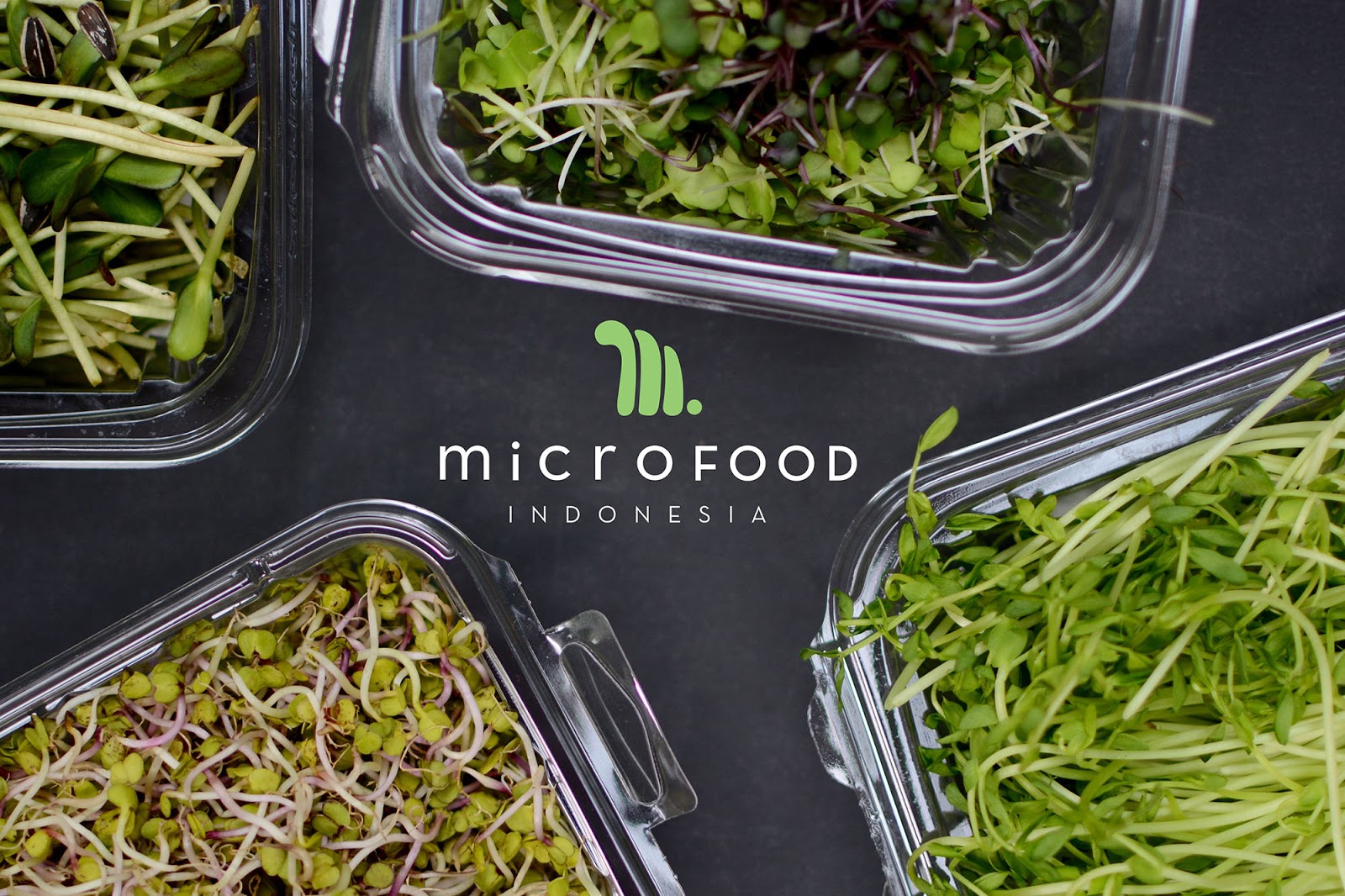 Microfood Indonesia on Packaging of the World - Creative Package Design ...