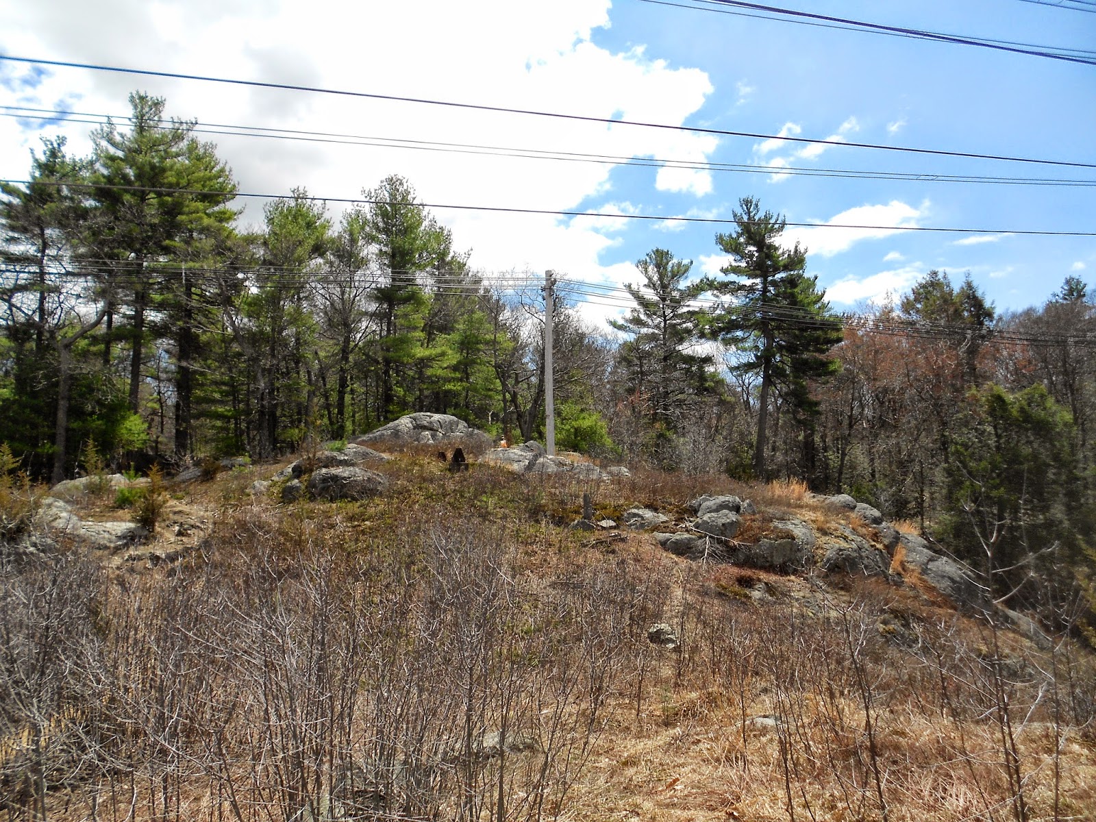Breakheart Trail Running: Orienteering In Breakheart Reservation