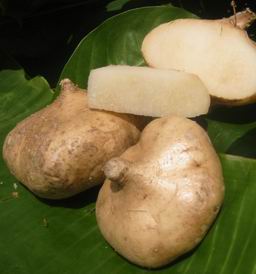 We were all made beautifully: Indonesian Natural Beauty Steps