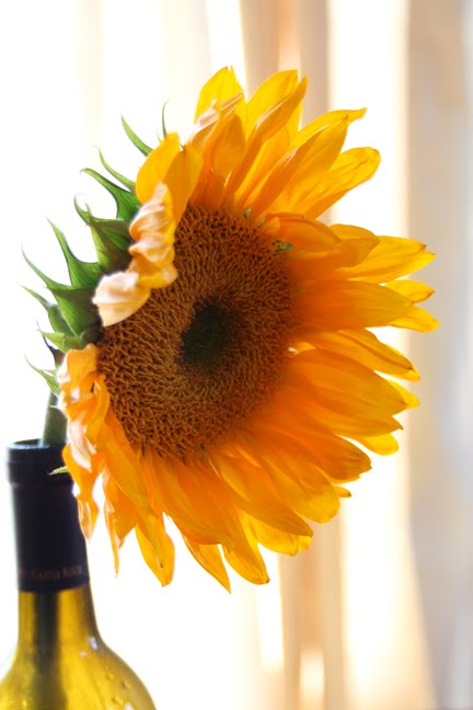 Sarah Fritzler: friday flowers: yellow autumn sunflowers