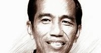 BIOGRAFI JOKOWI DODO