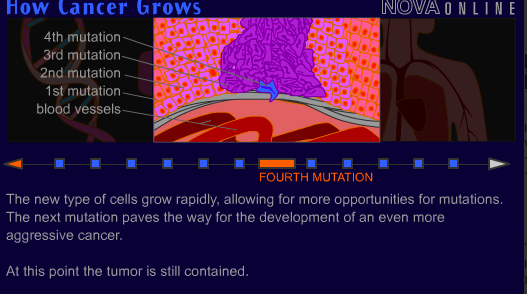 EC Honors Biology: How Cancer Grows and Spreads