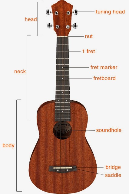 ดนตรีวัยมันส์: องค์ประกอบของ Ukulele