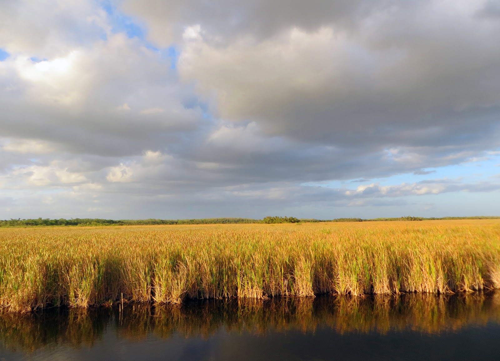 The Daily Rant: River Of Grass