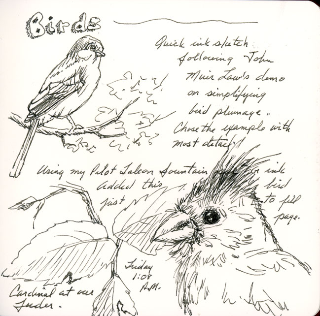 sbwatercolors and sketching: Bird Doodling in Pen and Ink