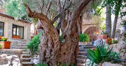 Breslov Center: Who Knows the Secrets of the World?