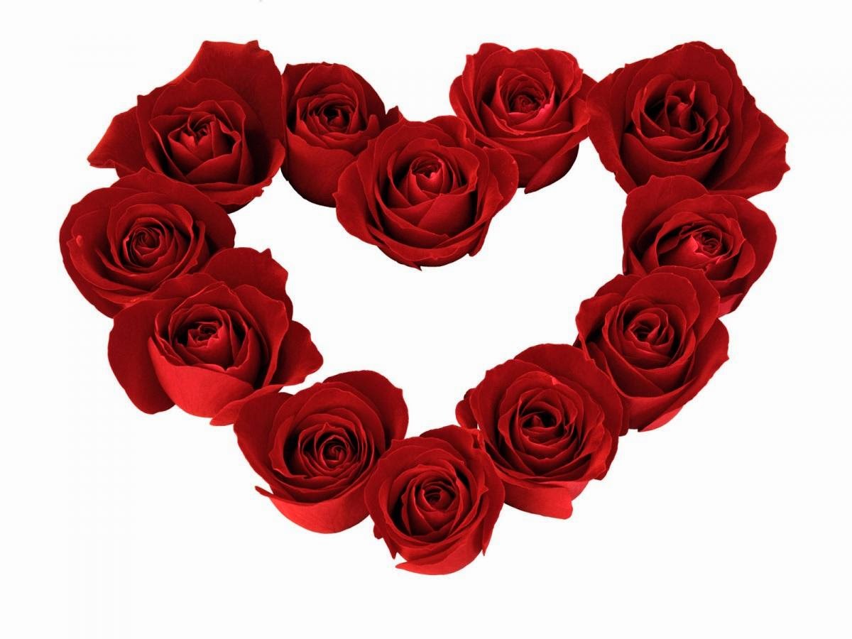 Love Heart Shaped Flower Flower Picture Picture Gallery Love Heart Shaped Flower Flower Picture Picture Gallery