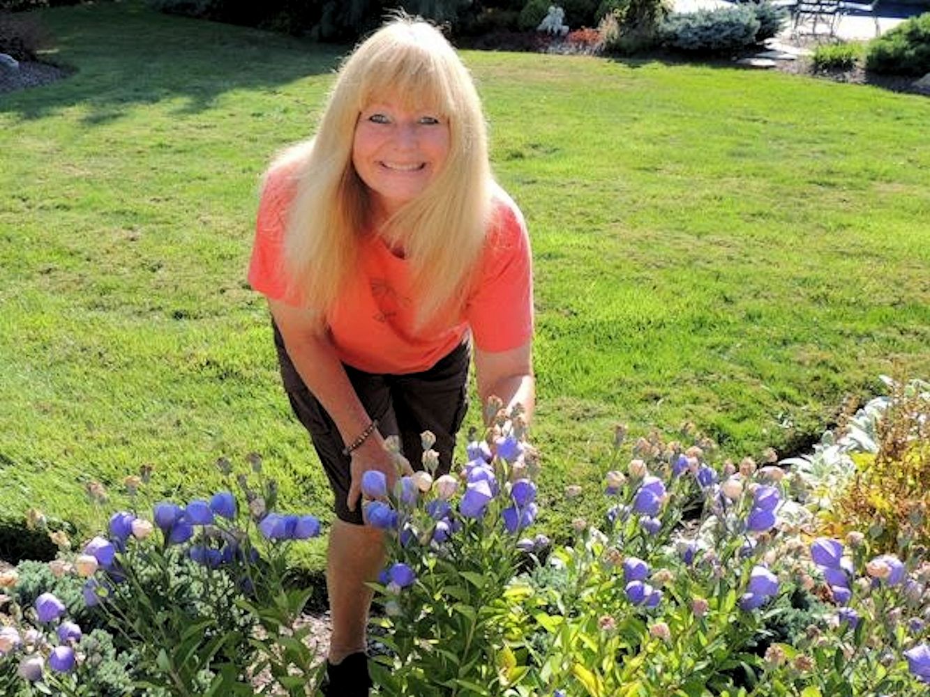 A GUIDE TO NORTHEASTERN GARDENING: Garden Bloggers' Bloom Day & Foliage ...