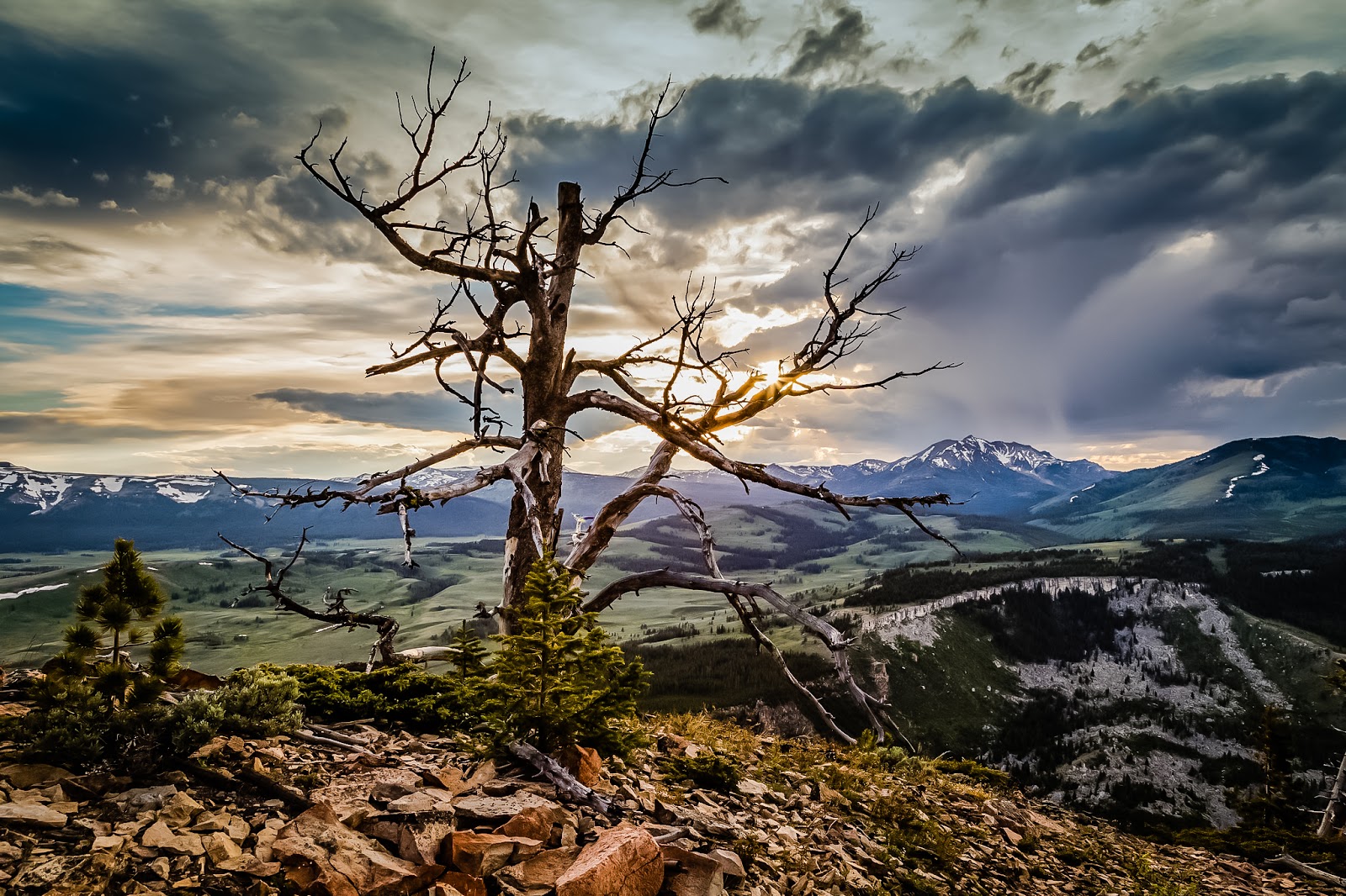 Stormy Bunsen Peak - Peter Noah Thomas