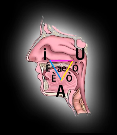 catatrux: El triangle vocàlic