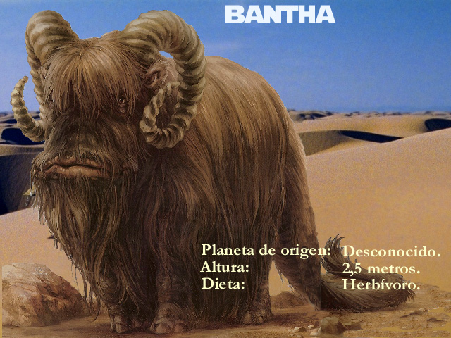 Distrito Star Wars: Bantha