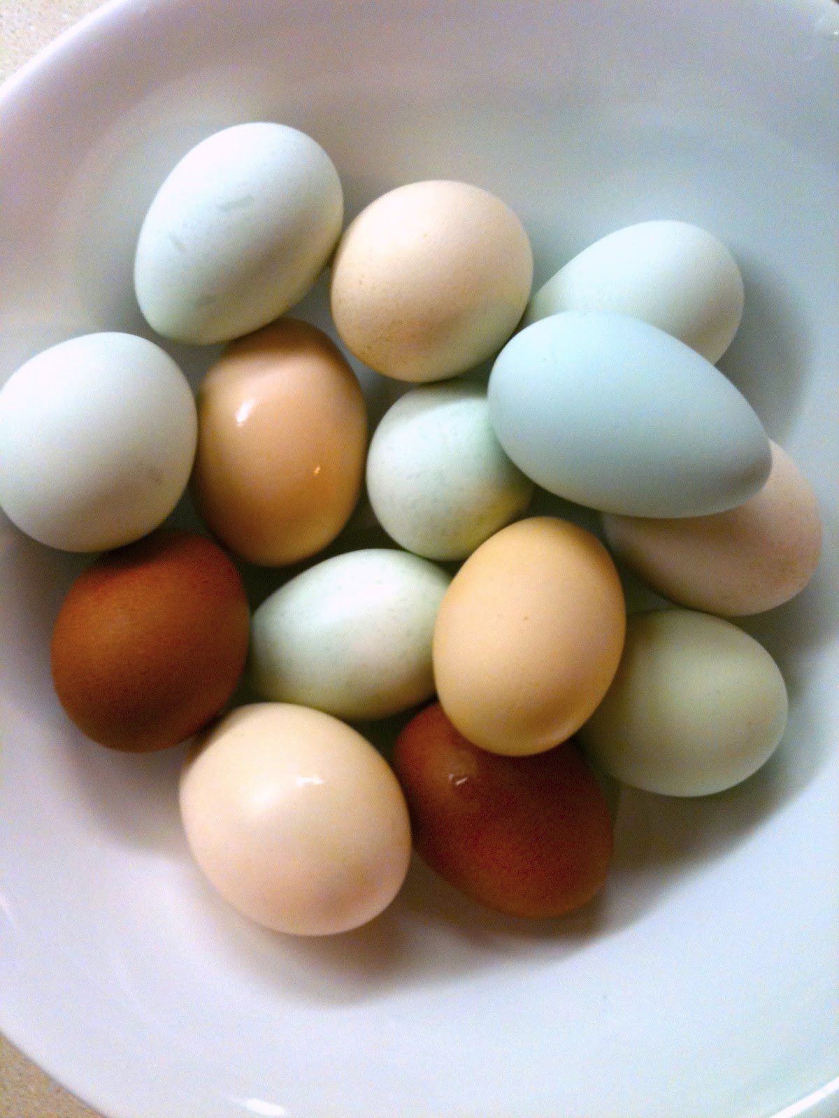The Blue Egg Market: March 2012