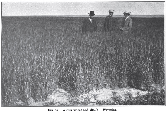 Dry Farming | Root Simple