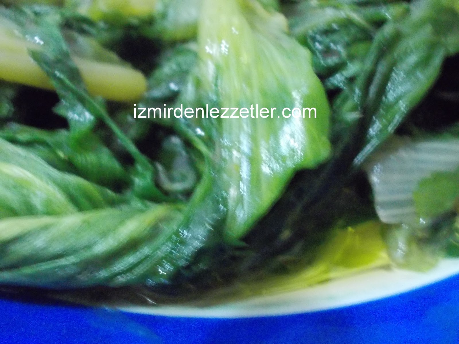 Radika Salatası | İzmirdenlezzetler