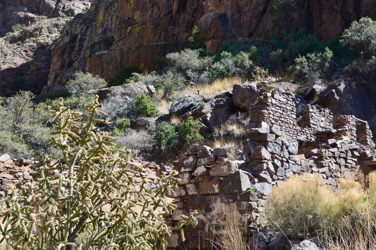 venturing4th: Dripping Springs Trail