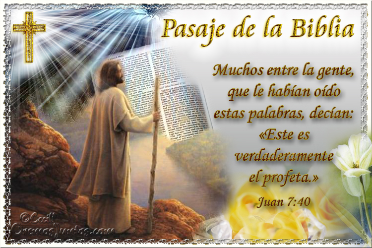 Vidas Santas: Santo Evangelio según san Juan 7:40