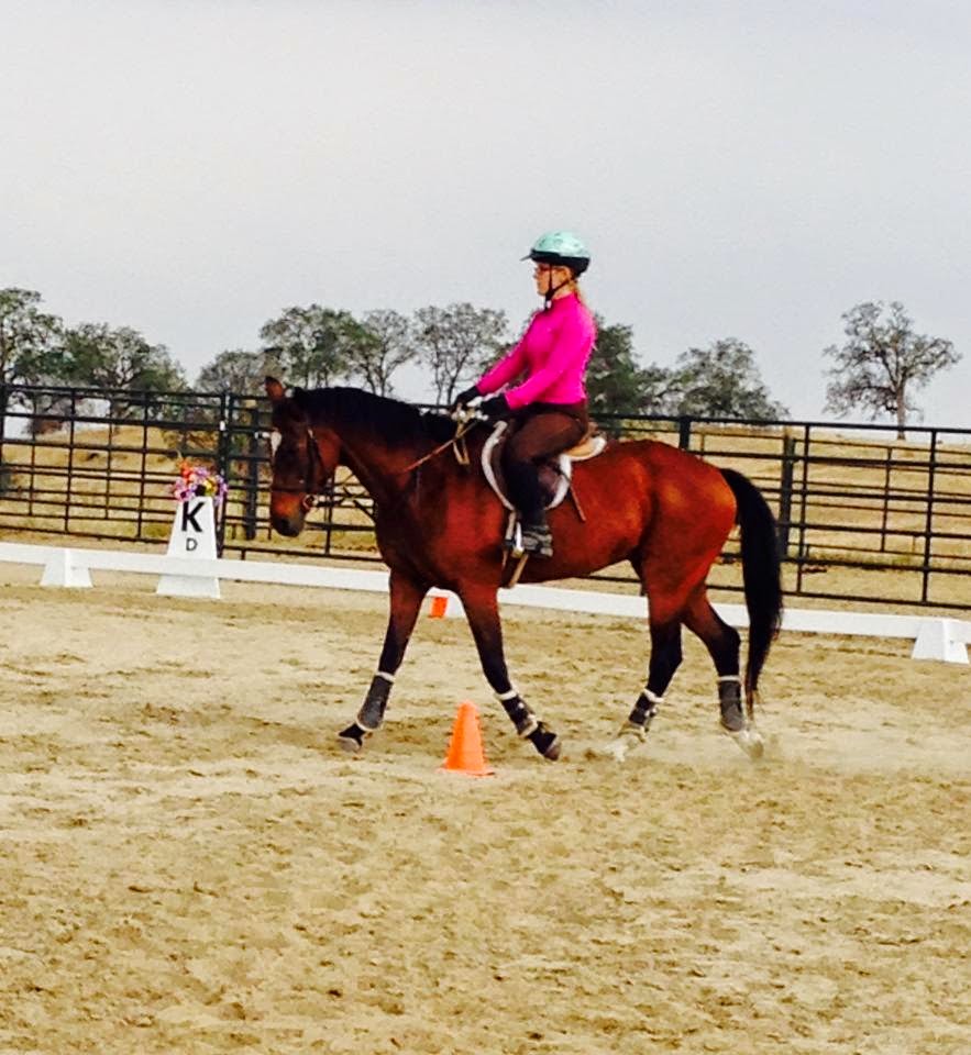 The Aspiring Equestrian: Best Riding Ever!